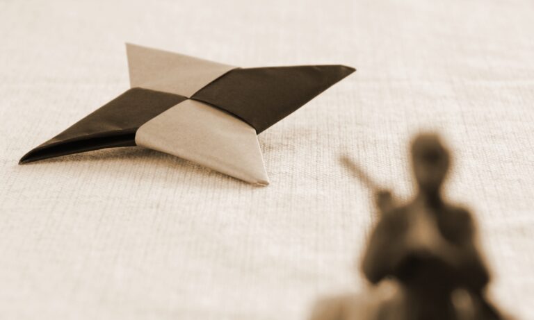 Do ninjas still exist today? Places where you can find ninja! - 忍者体験カフェ ...